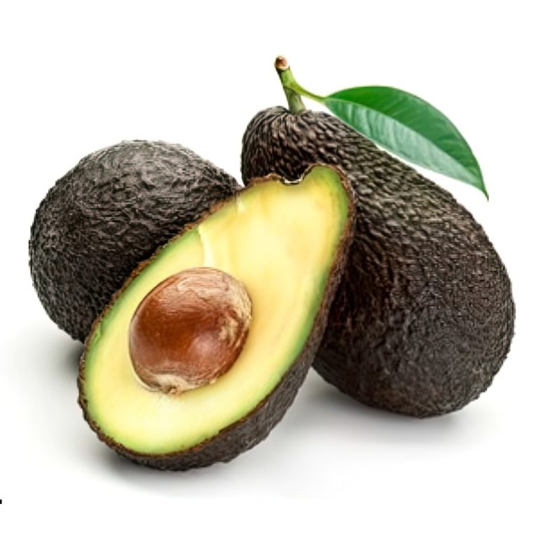Fuerte Avocado Tree For Sale - From The Garden