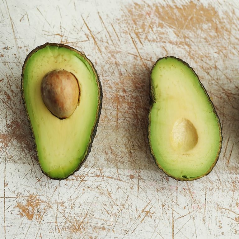 Edranol Avocado Tree For Sale - From The Garden