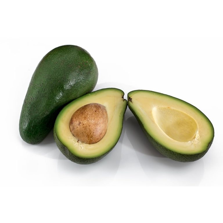 Fuerte Avocado Tree For Sale - From The Garden